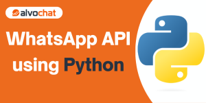 How to Send a WhatsApp API using Python | 2024