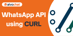 How to Send a WhatsApp API using cURL | 2025